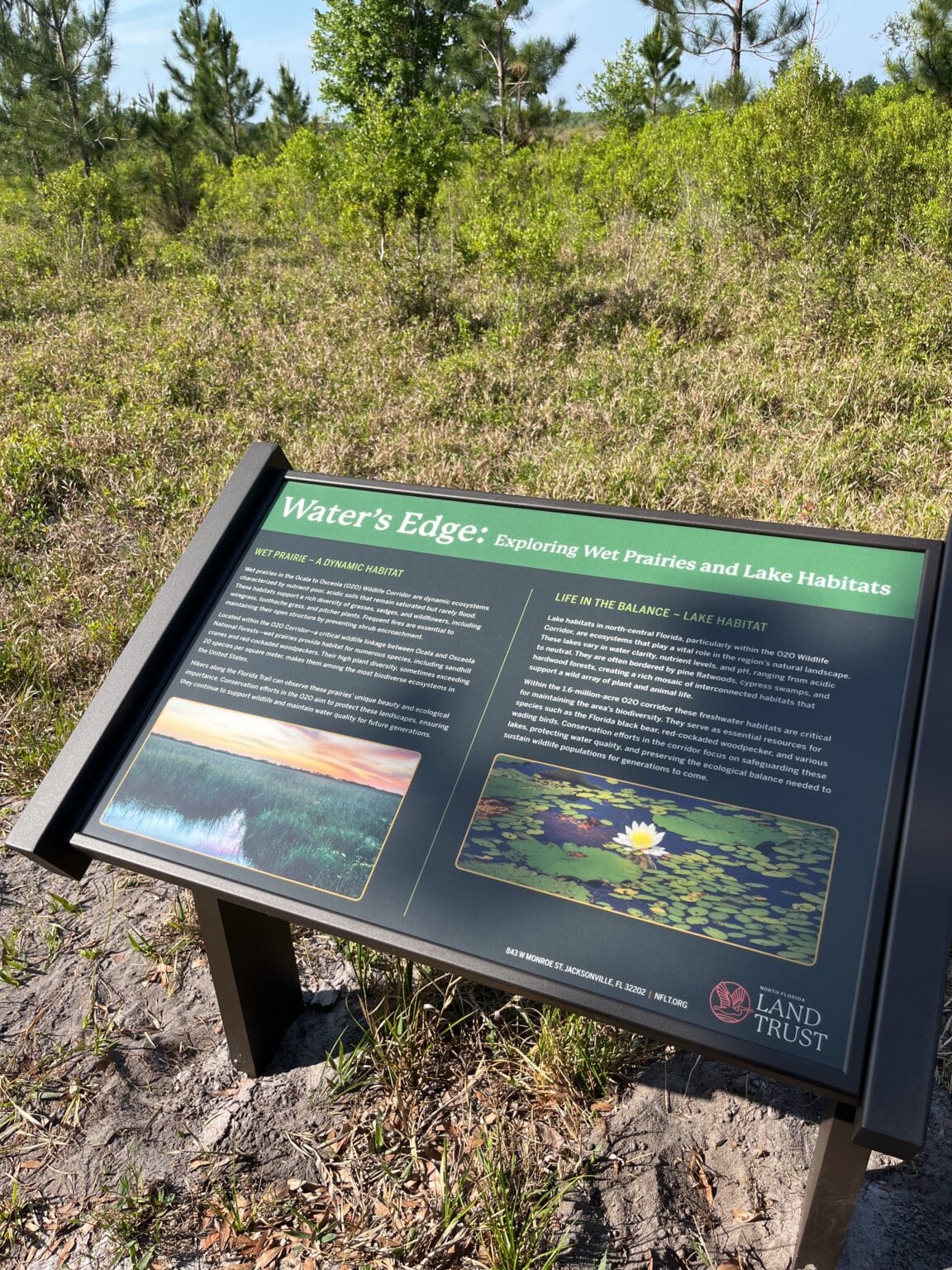 North Florida Land Trust Celebrates Earth Day with Interpretative Sign ...